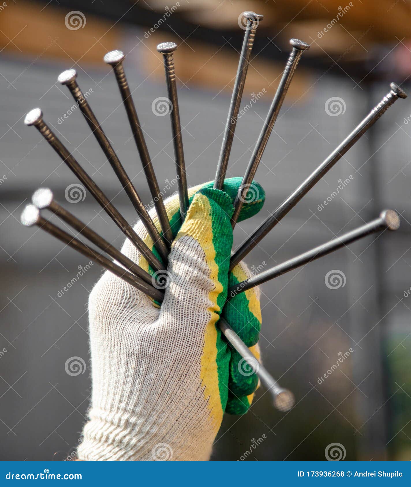 Nails in the Hand of a Worker Stock Photo - Image of meter, craft ...