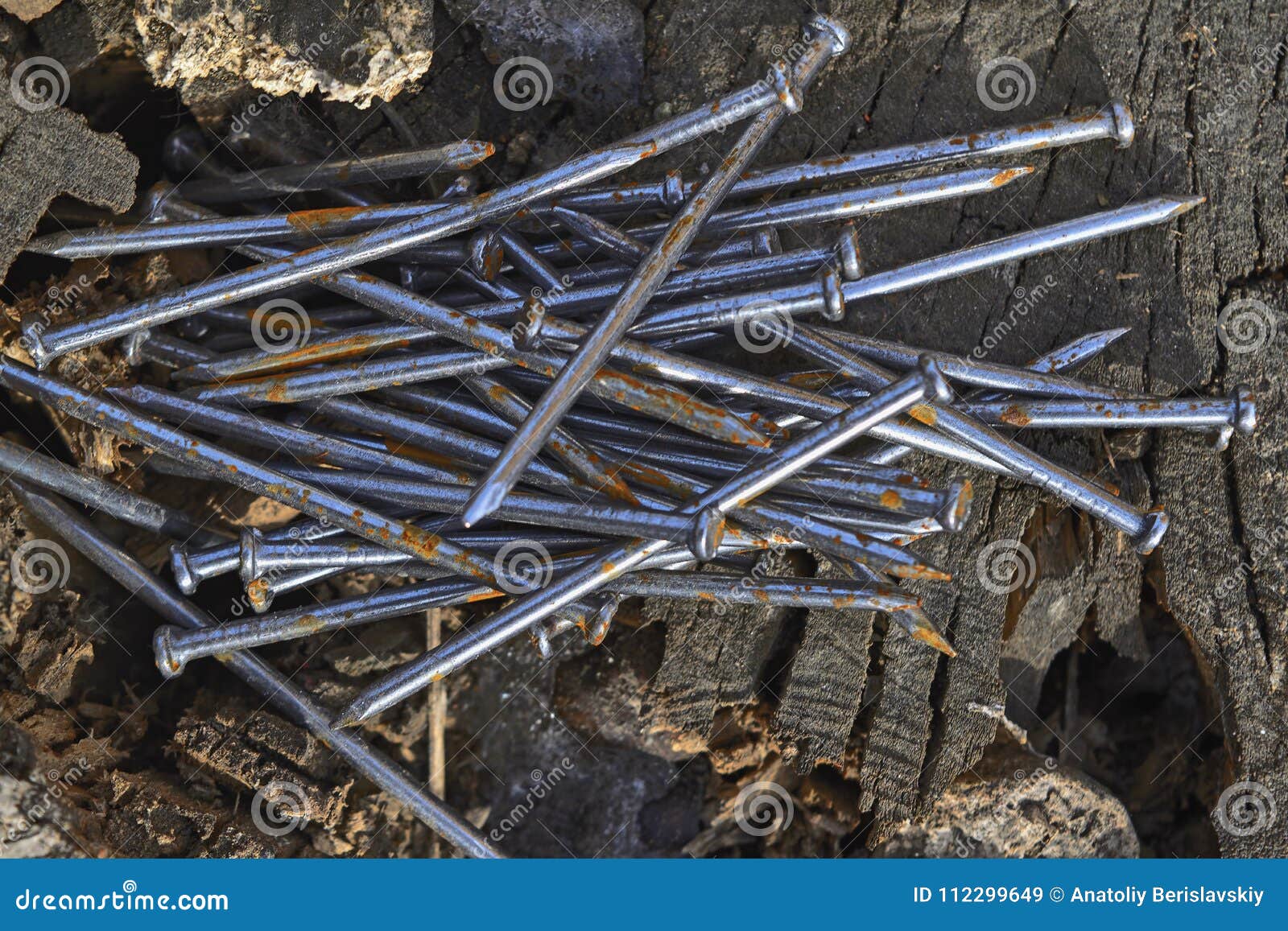 Nails on the Stump Close-up Stock Image - Image of macro, nails: 112299649