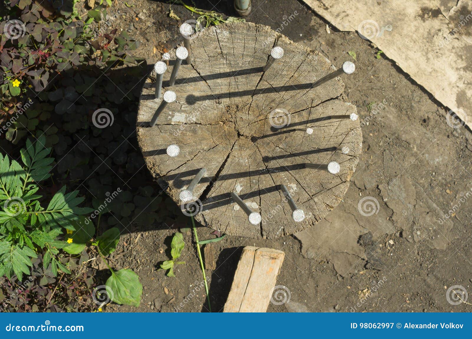 The Nails are Sticking Out in the Hemp Stock Image - Image of rotten ...