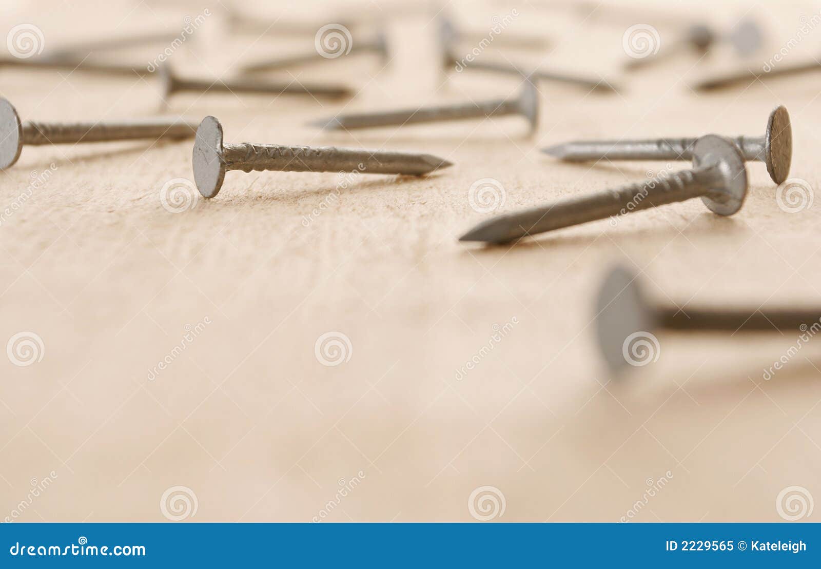 Nails on Wooden Board stock image. Image of close, board - 2229565