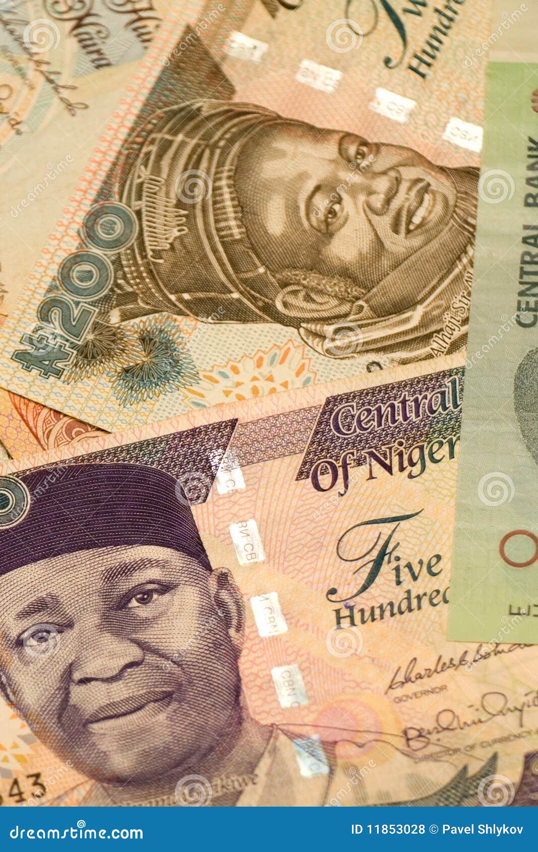Nairas stock photo. Image of head, money, human, african - 11853028