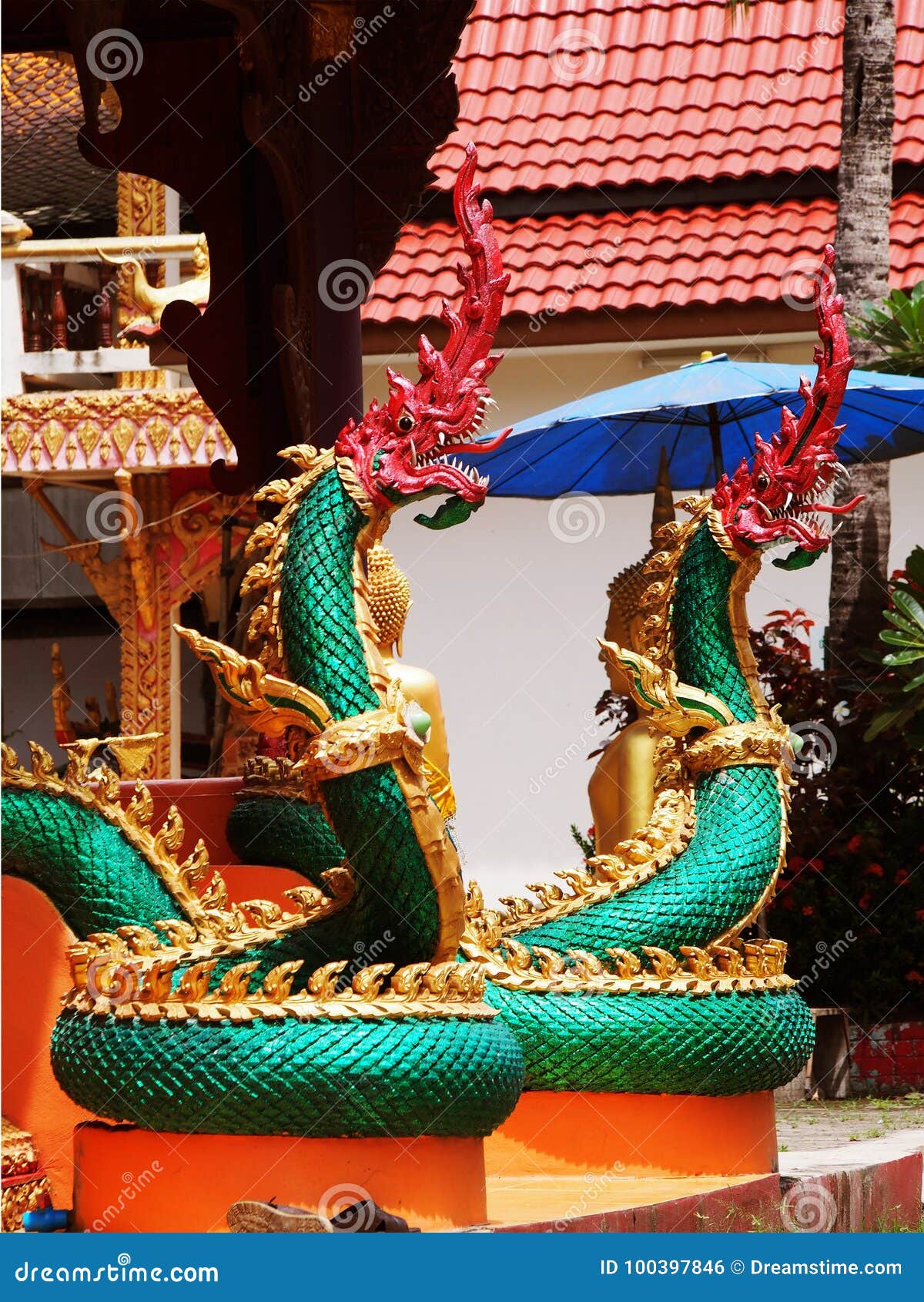 Naka stock photo. Image of homenthis, khou, live, vientiane - 100397846