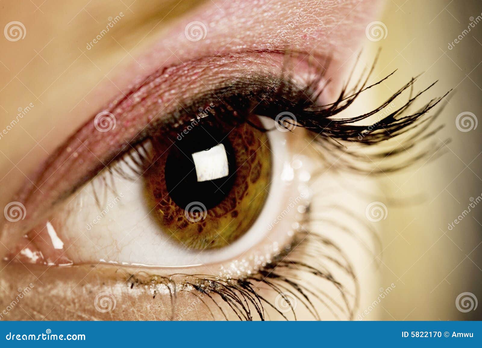 Naked Eye stock photo. Image of human, beauty, care, macro - 5822170