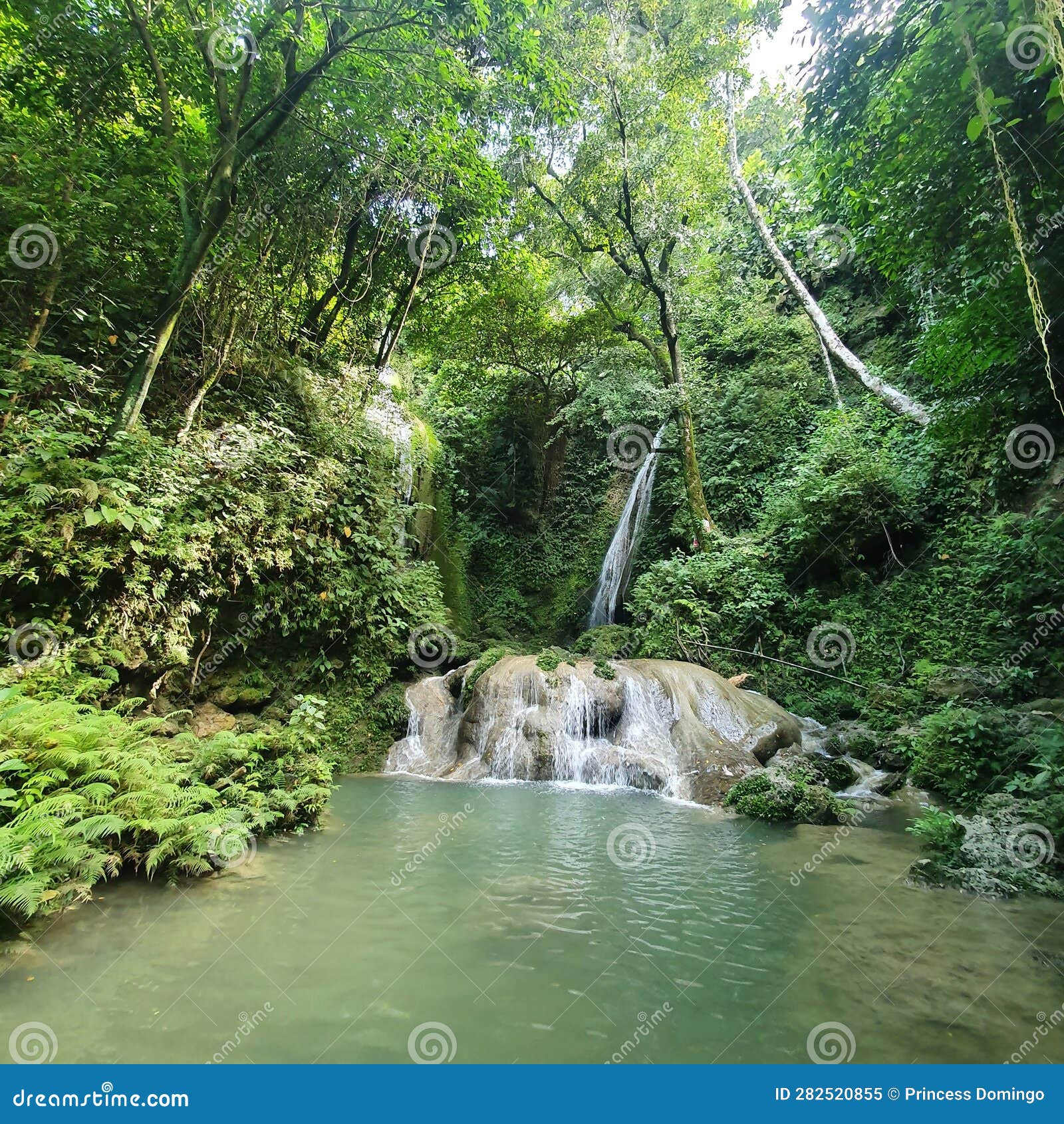 Nalalata Falls stock image. Image of bicol, falls, water - 282520855