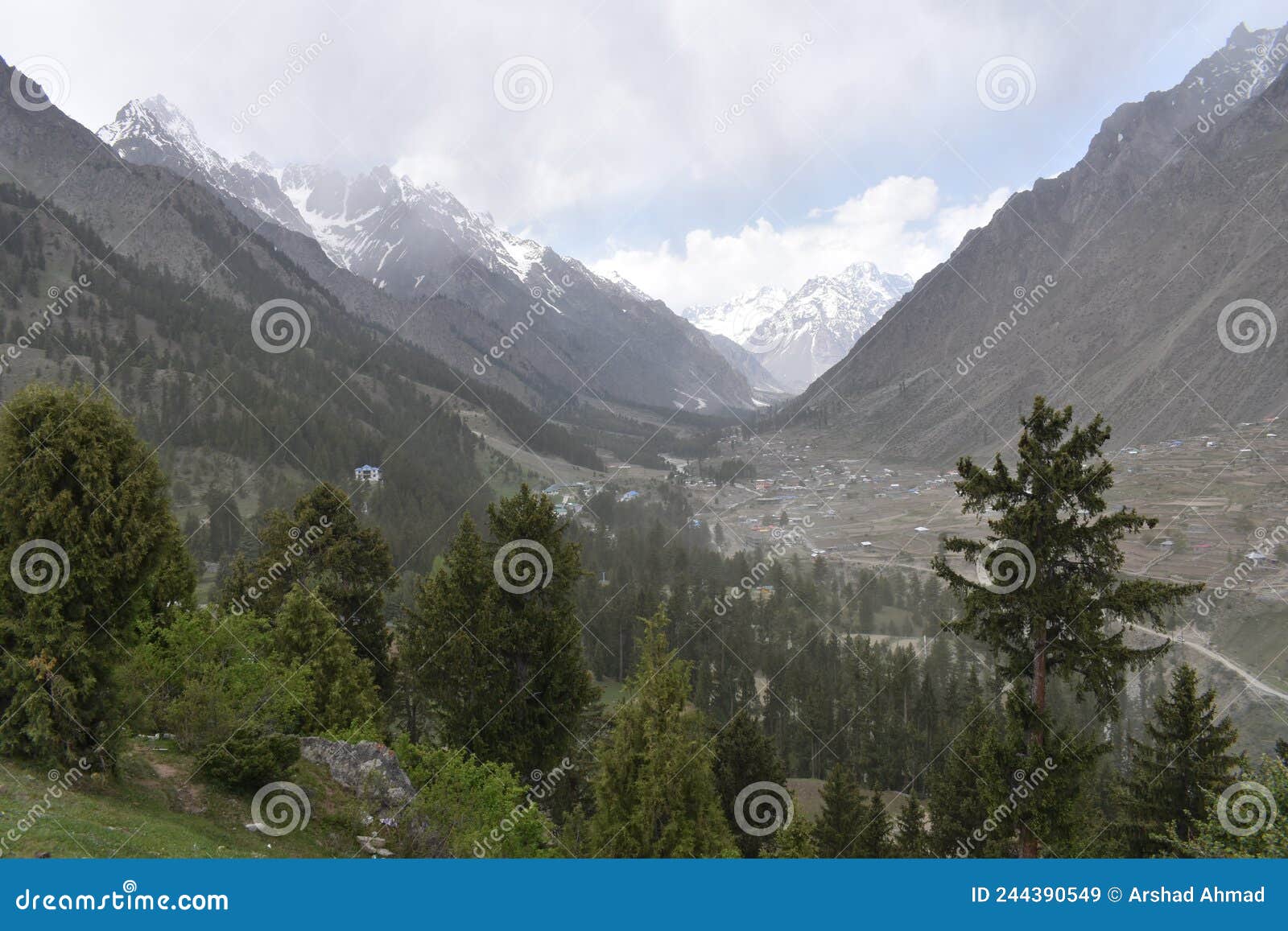 Naltar Valley( Gilgit Baltistan). Stock Image - Image of ridge, hill ...