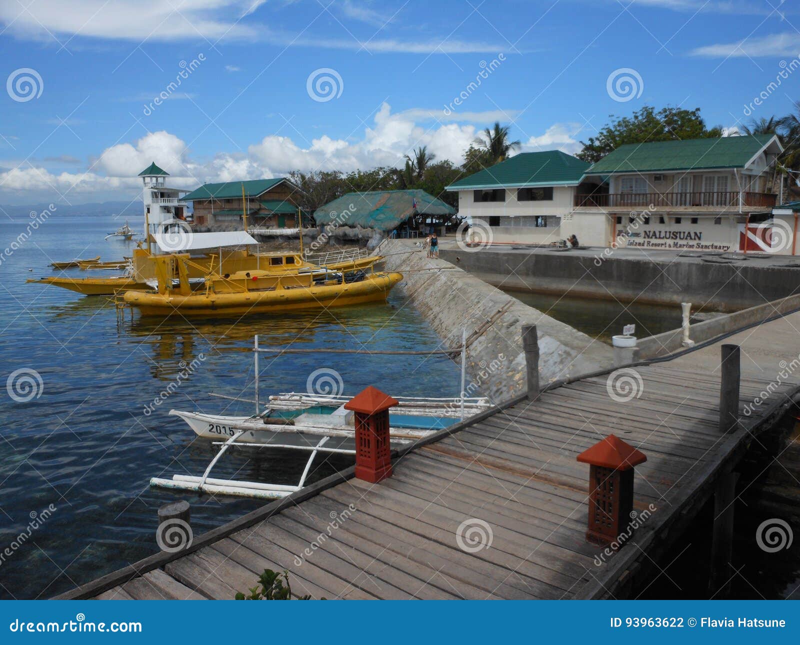 Nalusuan Island in the Philippines Editorial Photography - Image of ...