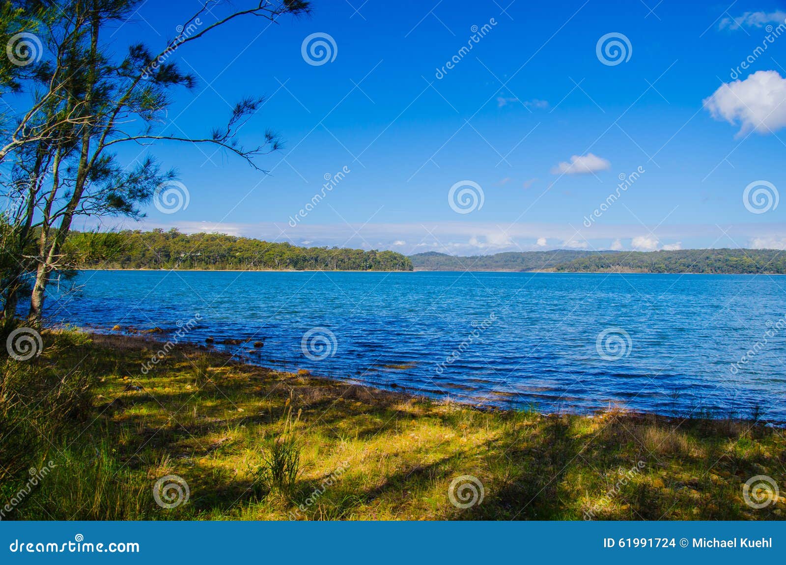 Nambucca River, Nabucca Heads Stock Photo - Image of eucalyptus ...