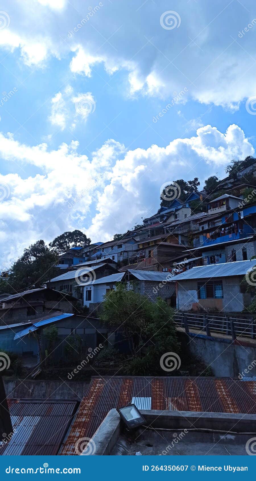 Name is Batugantung Ganemo in Ambon City Stock Image - Image of ...