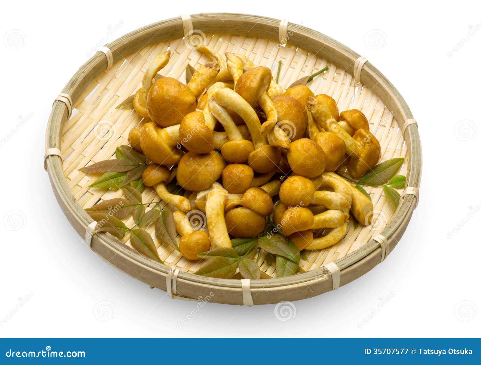 Nameko Mushrooms in the Bamboo Basket Stock Image - Image of bamboo ...