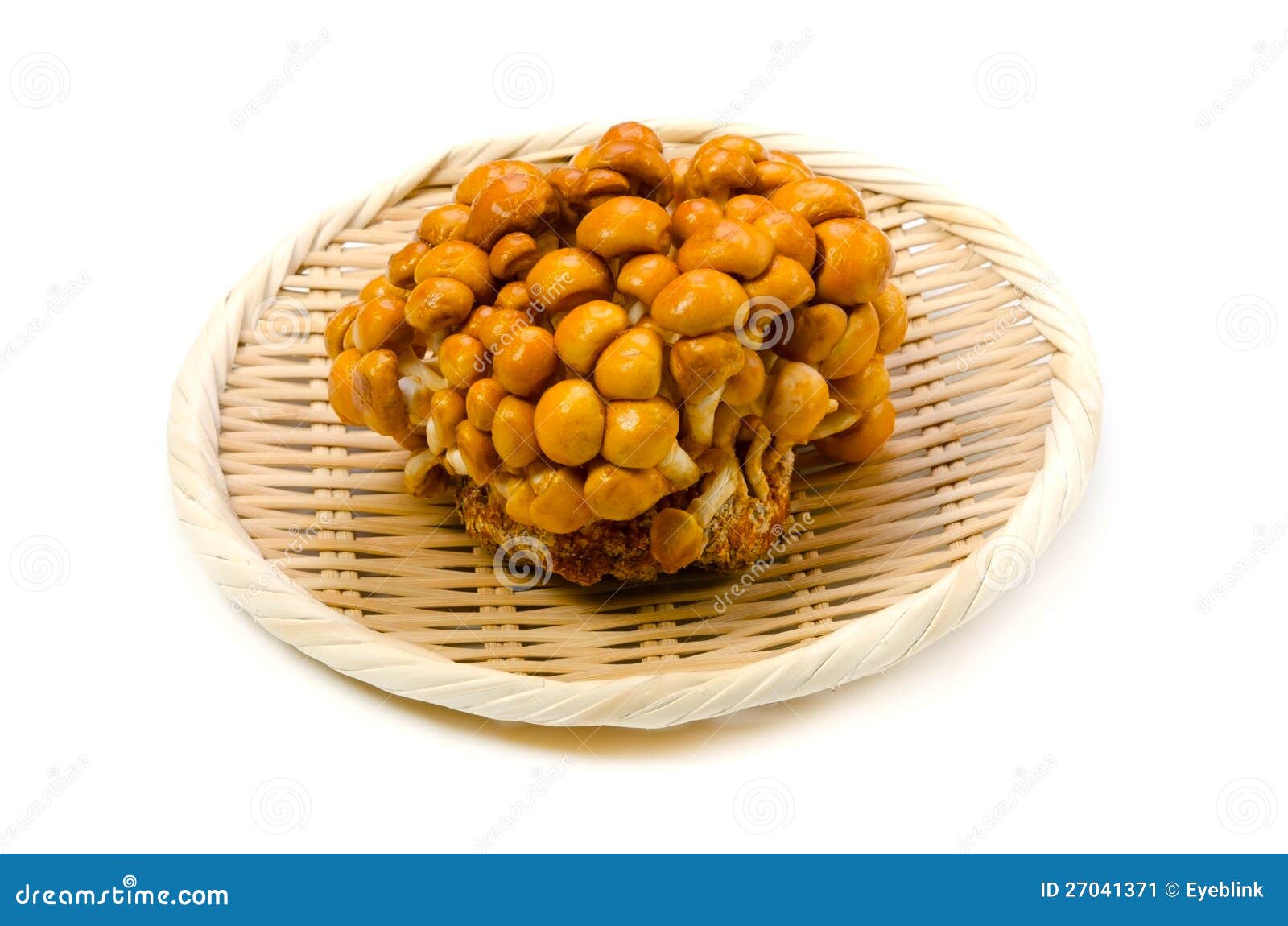 Nameko Pilz stockbild. Bild von gesund, essen, diät, nahrung - 27041371