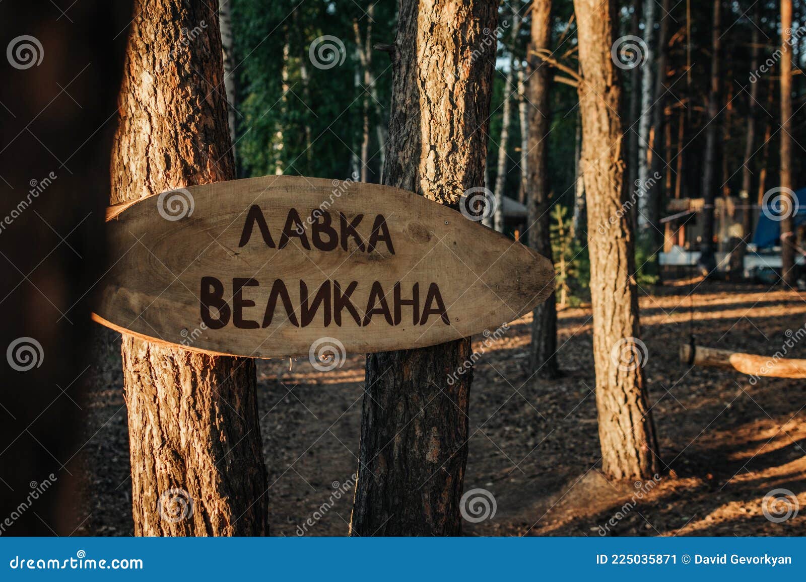 Nameplate in the forest stock image. Image of island - 225035871