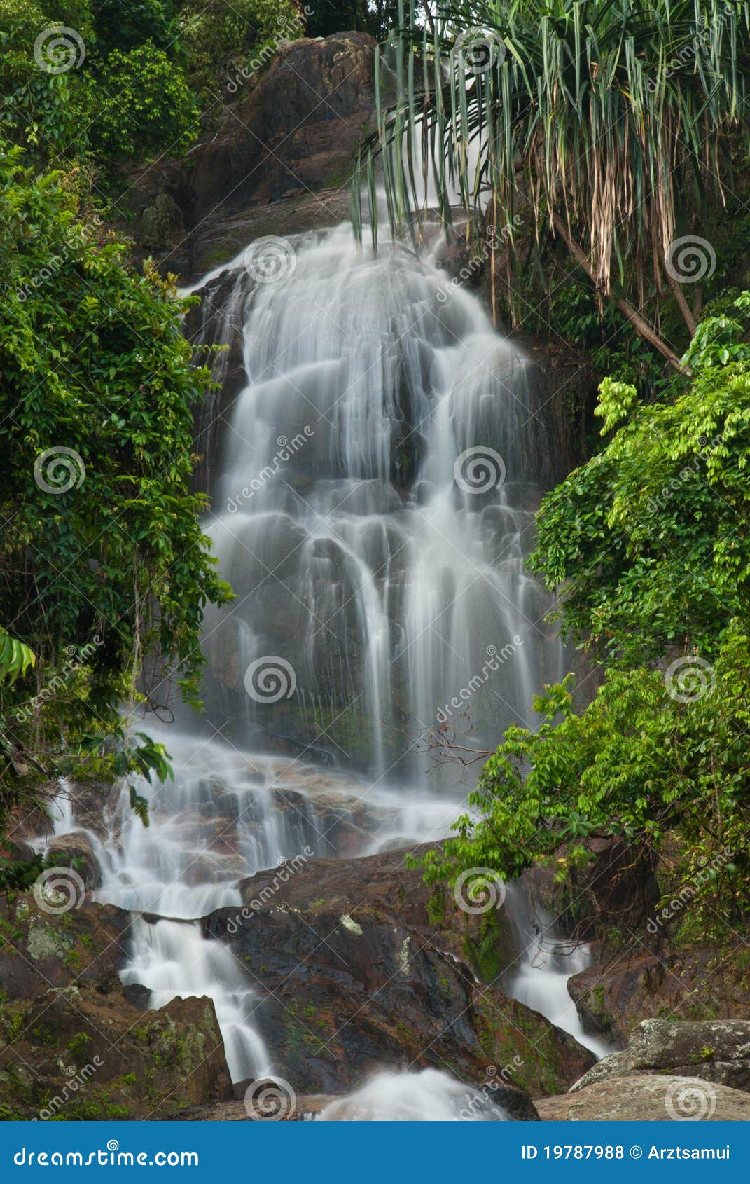 Nameung Waterfall Samui Thailand Stock Photo - Image of branch, light ...