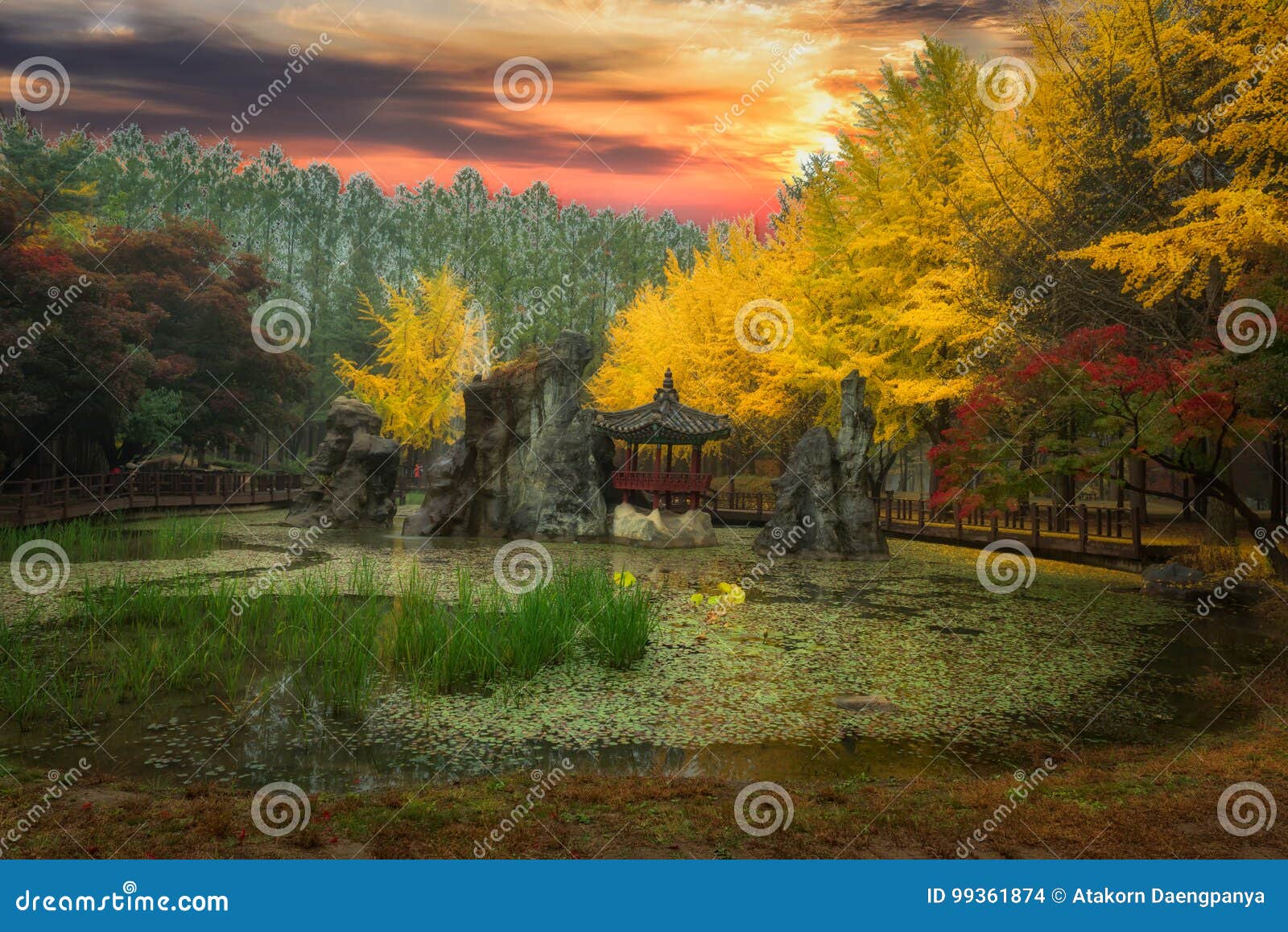 Nami Island in the Fall Season Stock Photo - Image of landscape ...