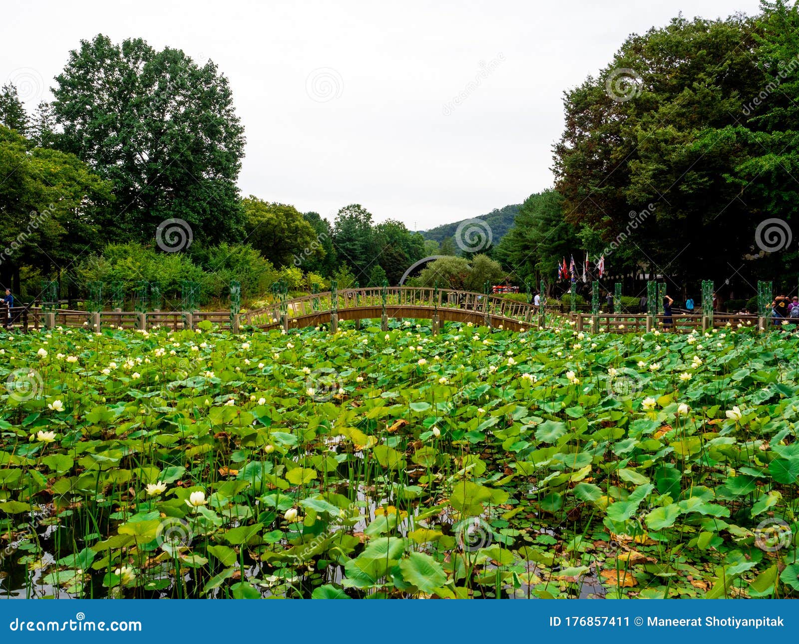 Nami Island, South Korea - Sep 20, 2019 Editorial Photo - Image of ...
