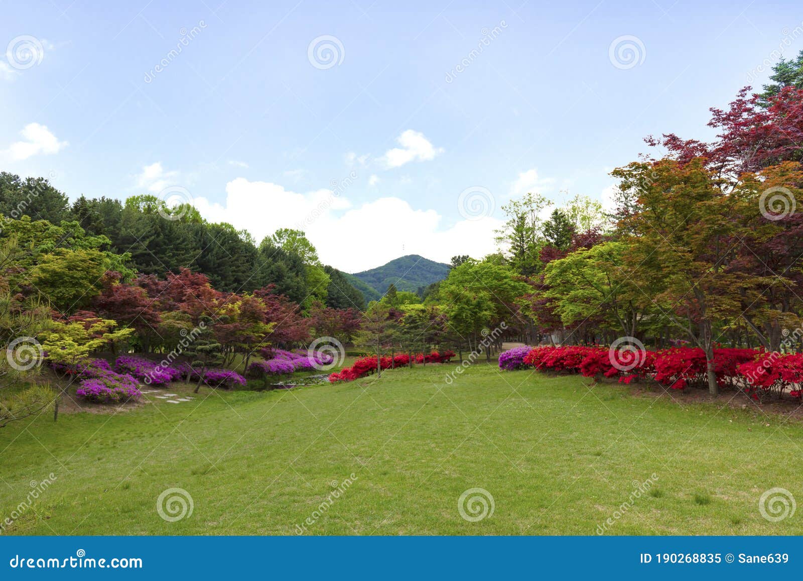 Nami Island in Spring at Chunchon South Korea Stock Image - Image of ...