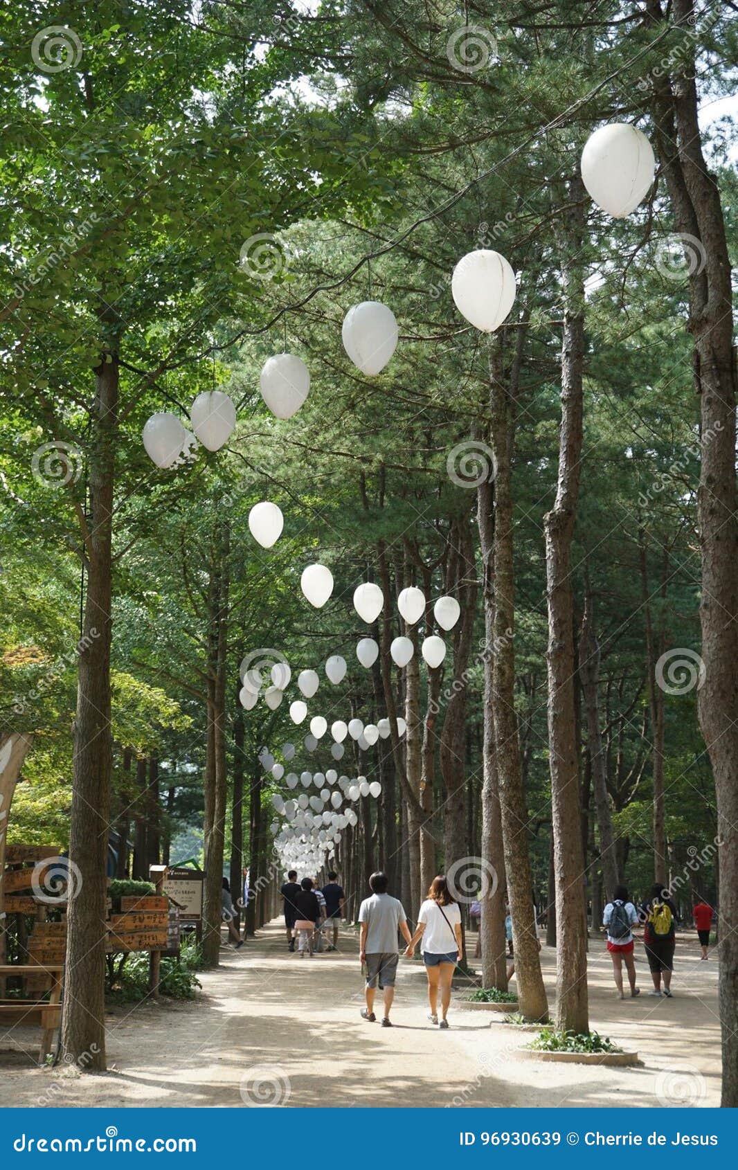 Nami Island editorial stock image. Image of namiisland - 96930639