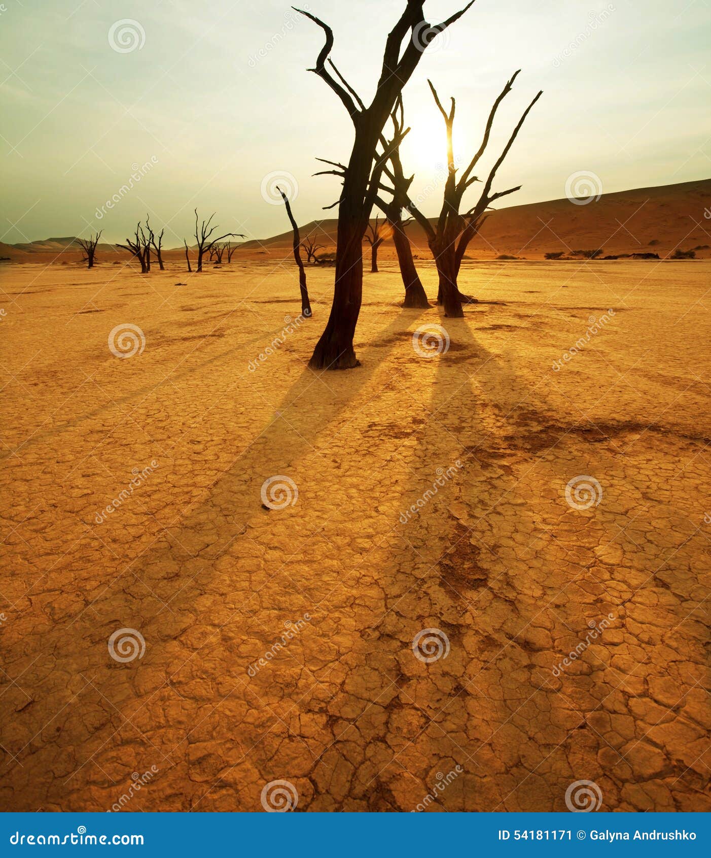 Namib stock image. Image of death, sossusvlei, scenery - 54181171