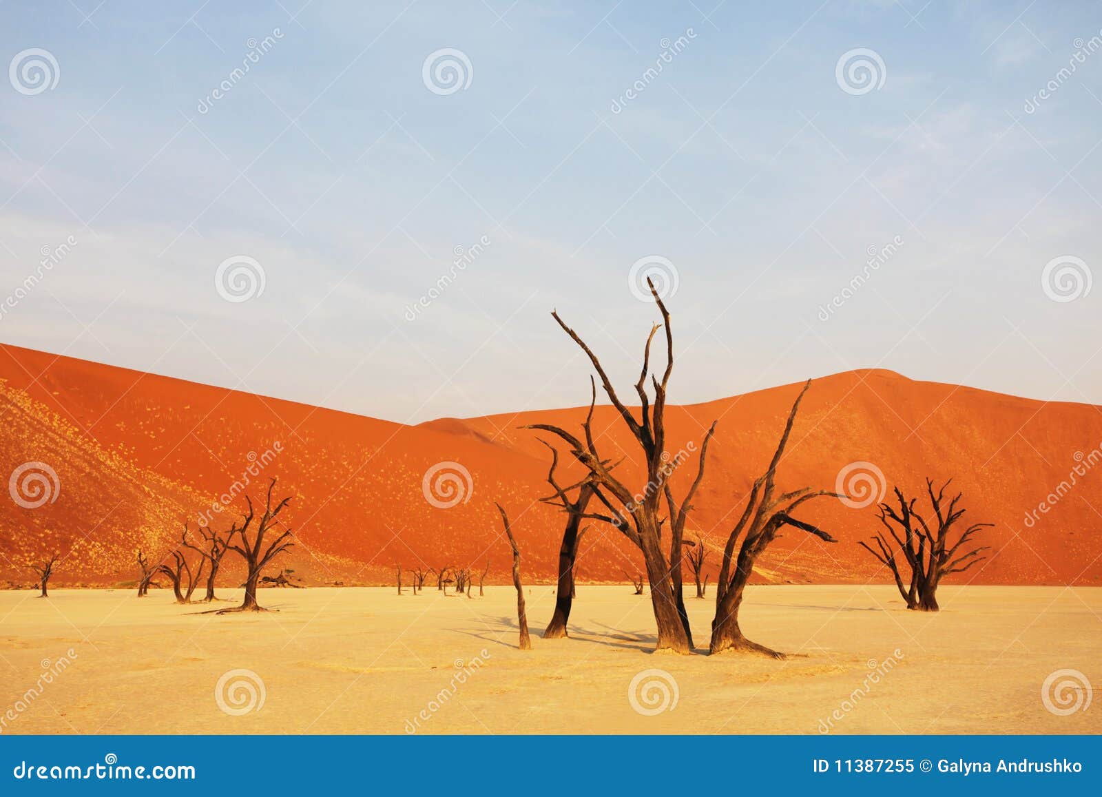 Namib desert stock image. Image of shadow, nature, climate - 11387255