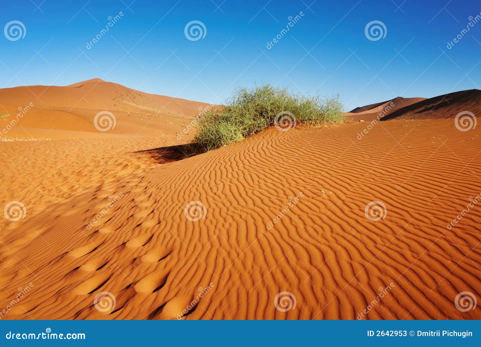 Namib Desert stock image. Image of nature, sand, yellow - 2642953