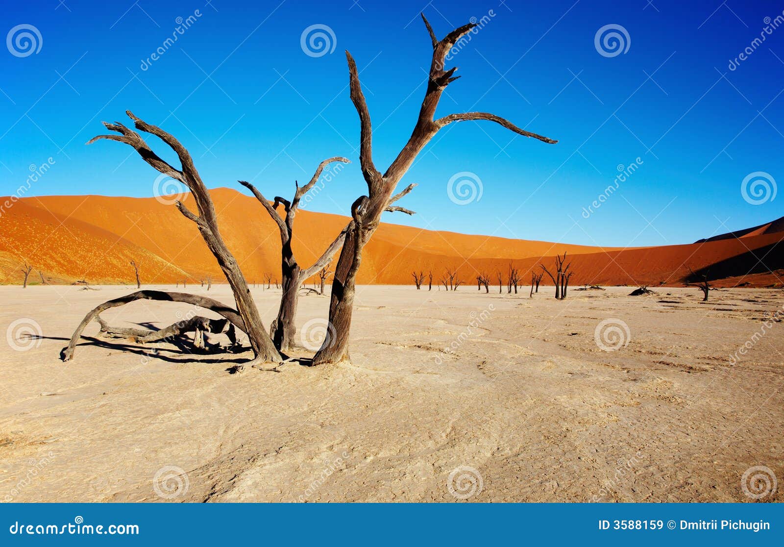 Namib Desert stock image. Image of heat, climate, land - 3588159