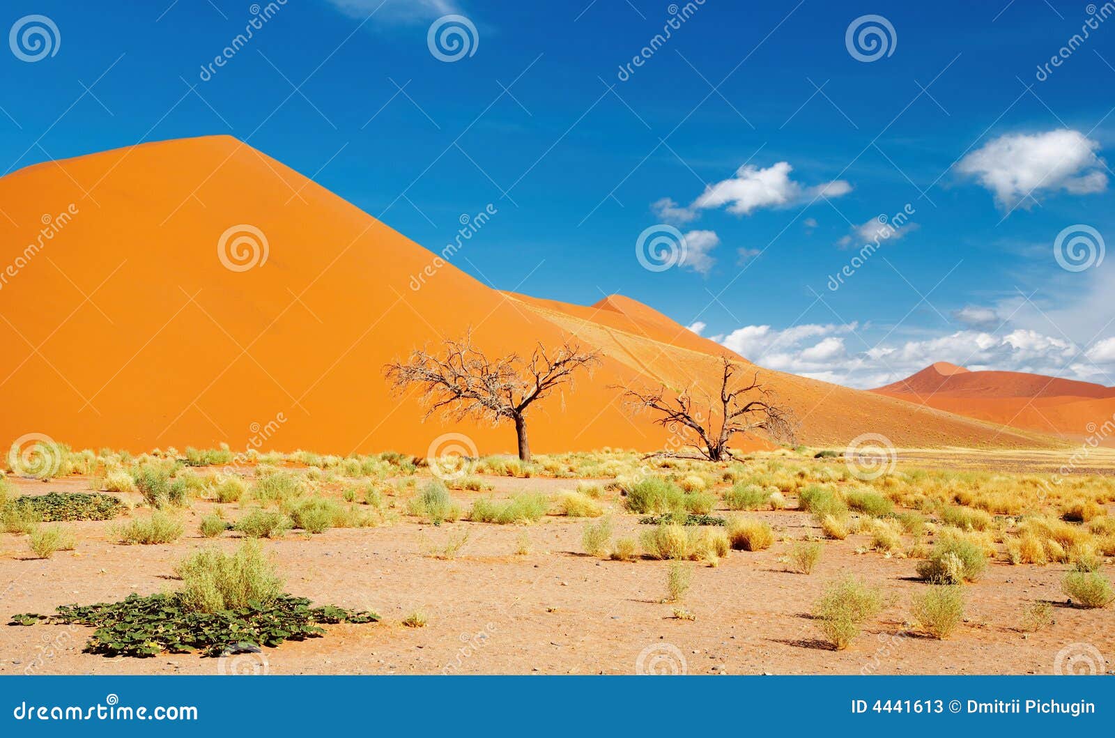 Namib Desert stock image. Image of scenery, blue, climate - 4441613