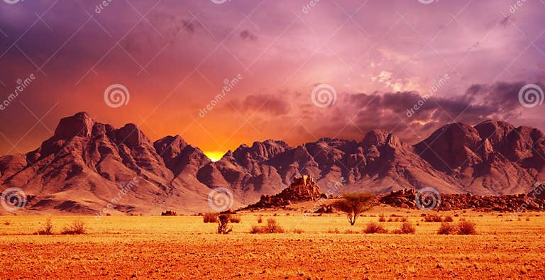 Namib Desert stock photo. Image of sand, arid, colorful - 8373530
