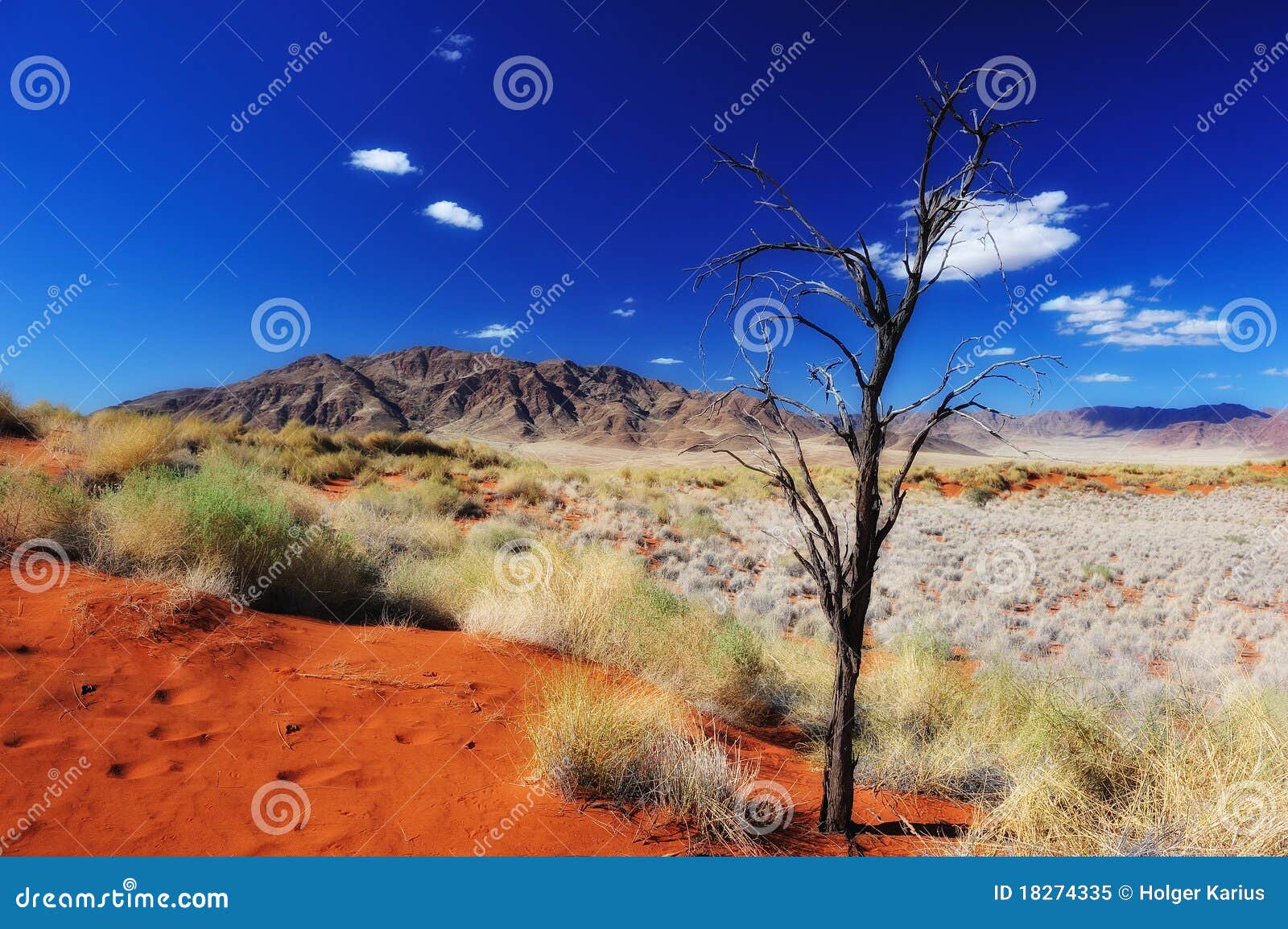 Namib Desert (Namibia) stock image. Image of blue, dunes - 18274335