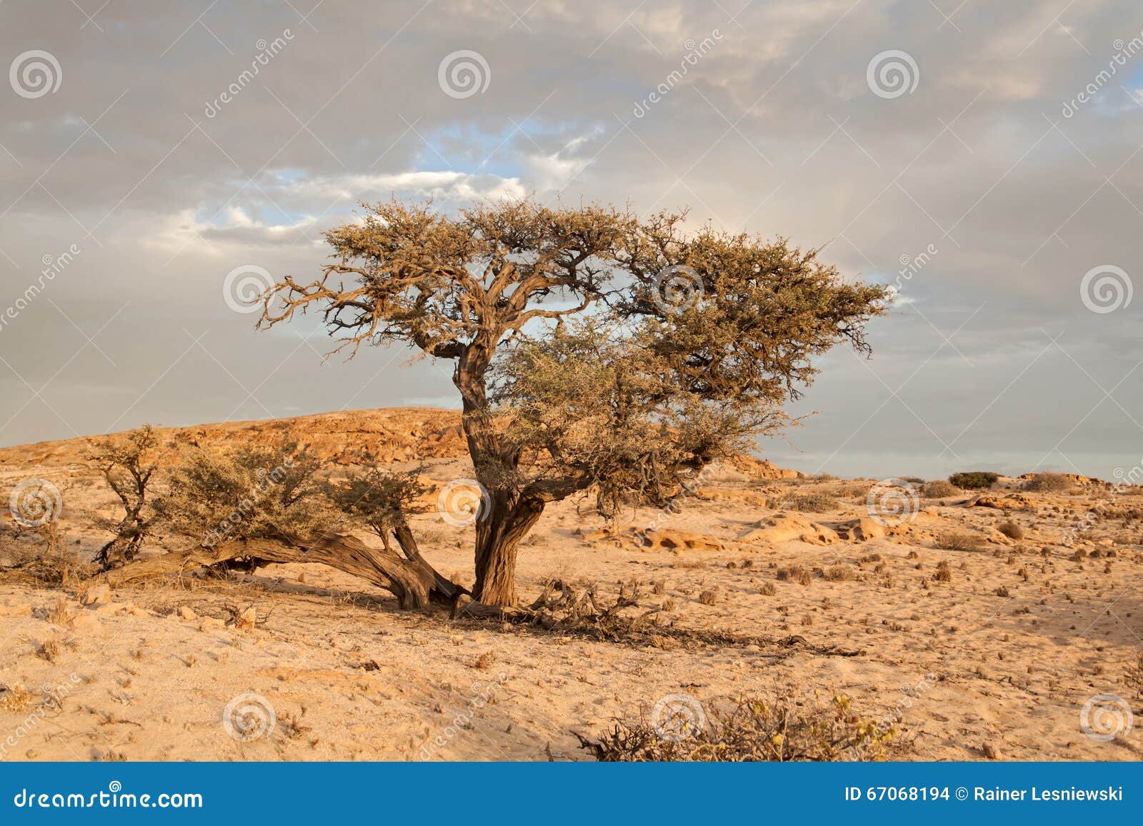 Namib desert, Namibia stock photo. Image of mountain - 67068194