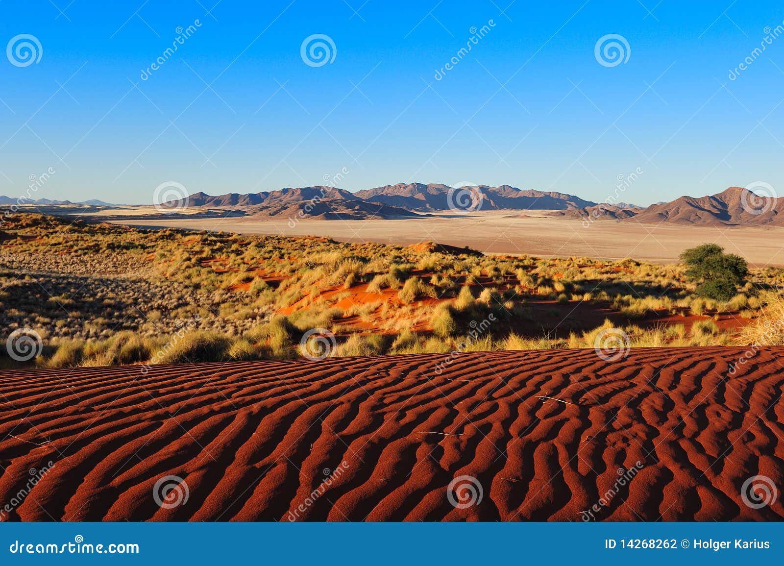 Namib Rand Nature Reserve (Namibia) Stock Photo - Image of landscape ...