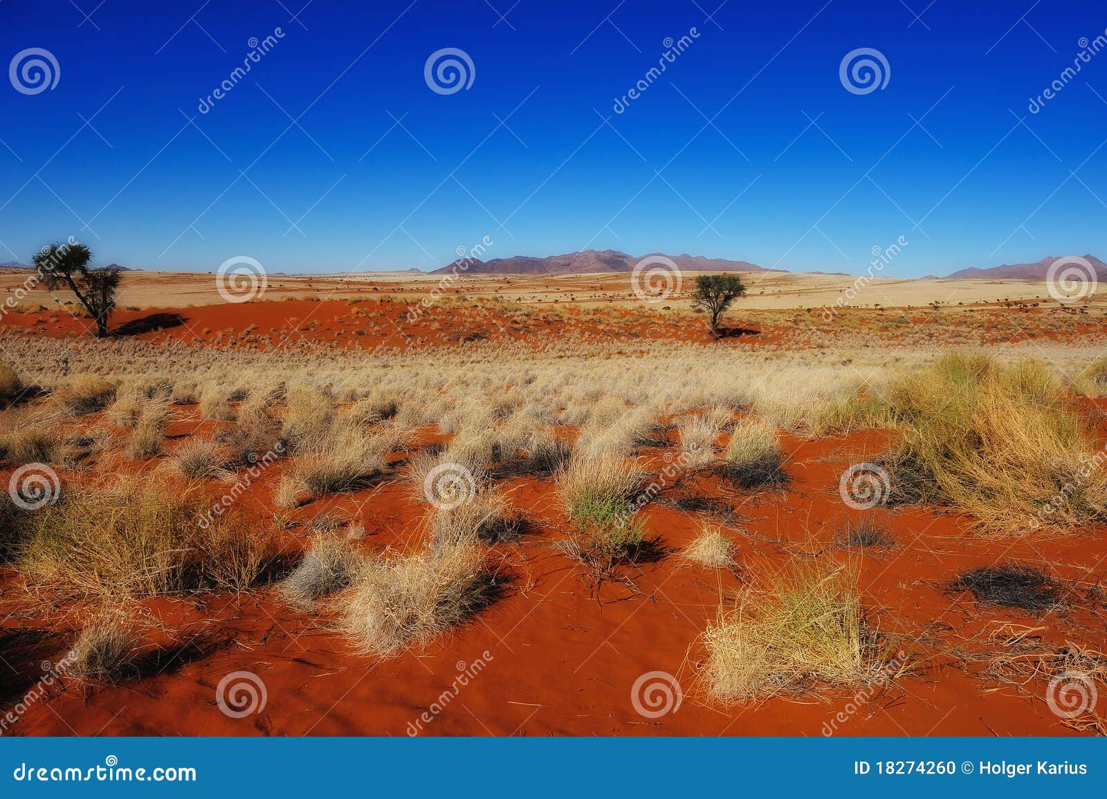 Namib Rand Nature Reserve (Namibia) Stock Photo - Image of dunes, view ...
