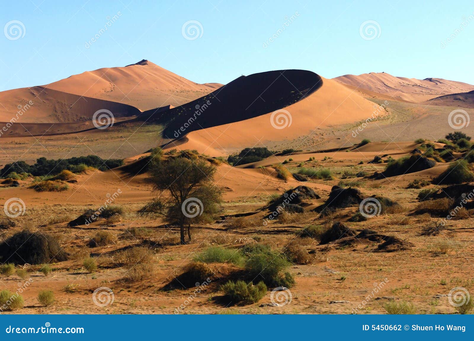 Namibia stock photo. Image of bush, warming, sand, land - 5450662