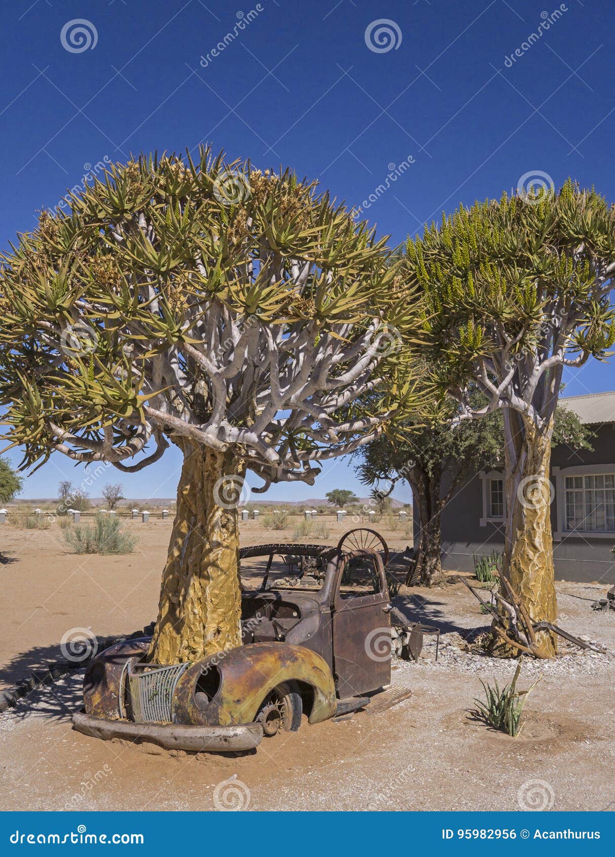 Godwana Stock Photos - Free & Royalty-Free Stock Photos from Dreamstime