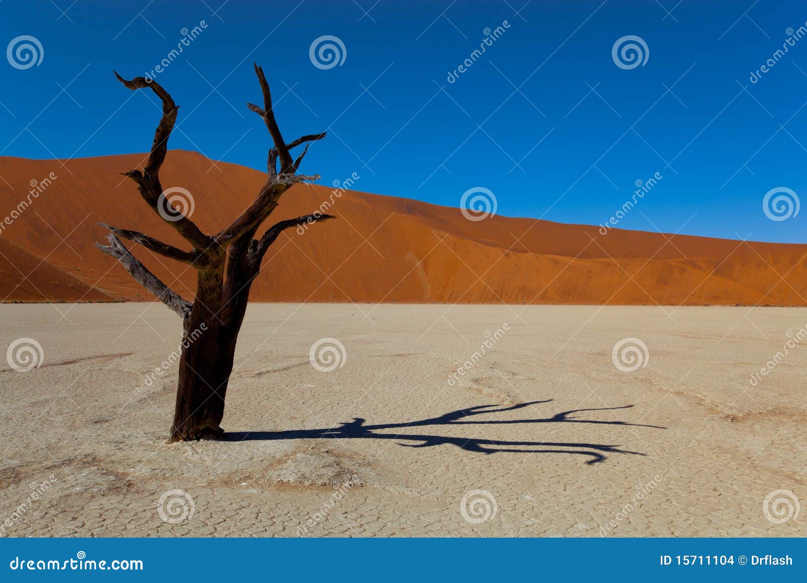 Namibia desert stock photo. Image of sand, dune, african - 15711104