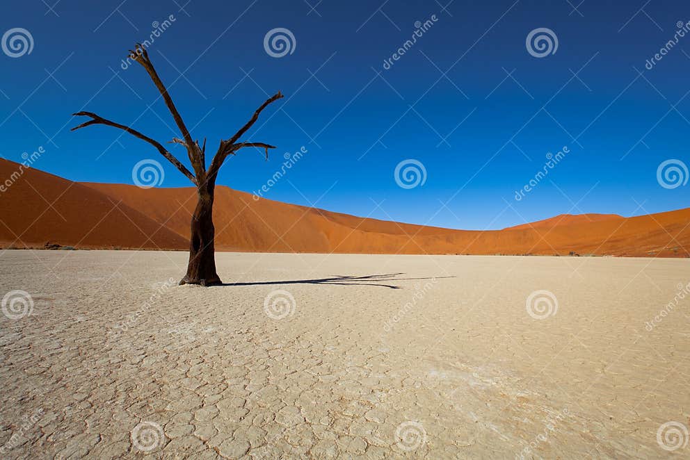 Namibia desert stock image. Image of africa, blue, sand - 15711141