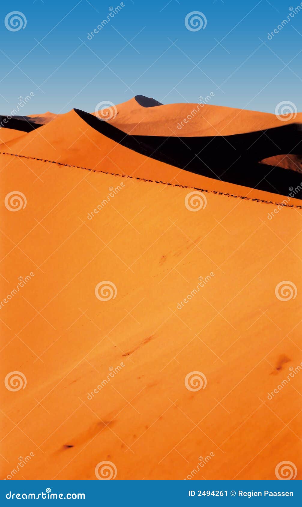 Namibia desert stock image. Image of nature, deadvlei - 2494261
