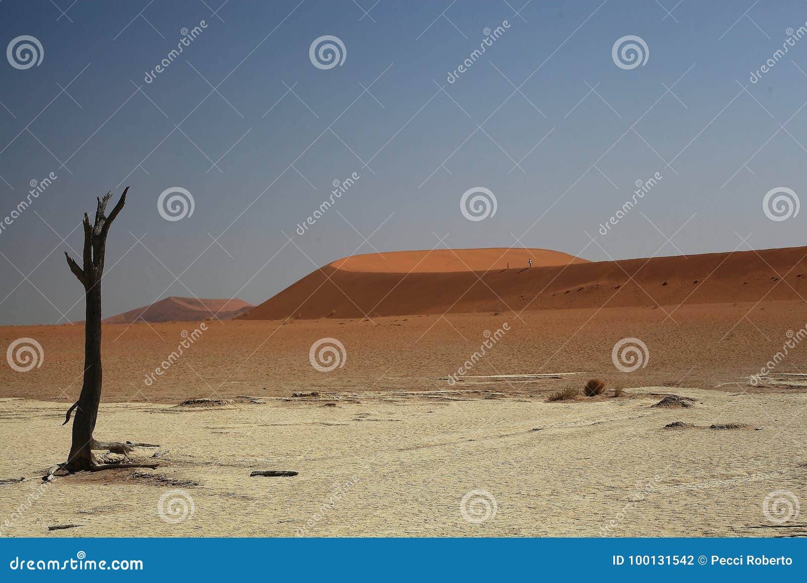 Namibia, Namib Desert, stock photo. Image of peak, high - 100131542