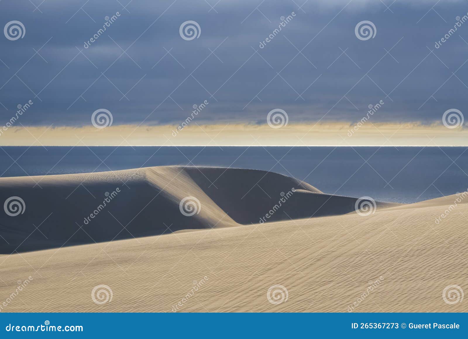 Namibia, the Namib desert stock image. Image of climate - 265367273