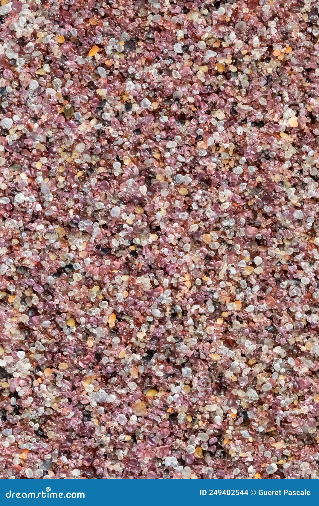 Namibia, Pink Grains of Sand Stock Photo - Image of large, empty: 249402544