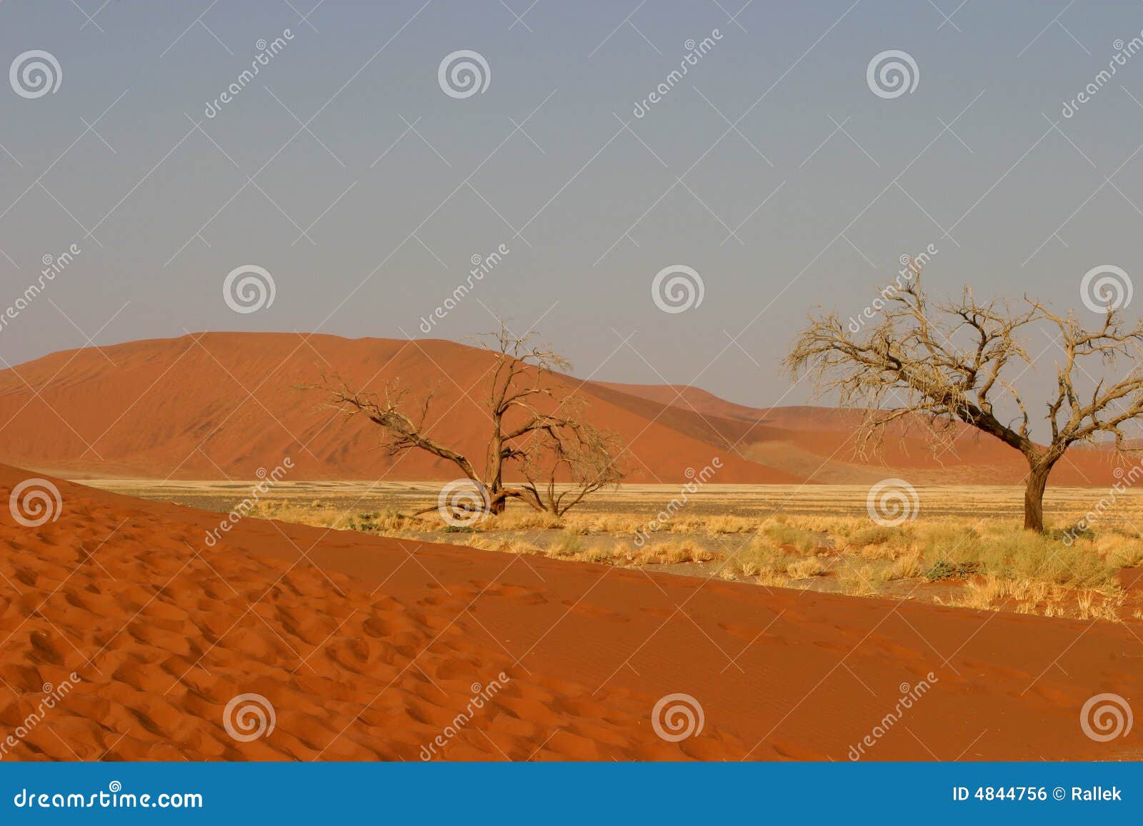 Namibian desert landscape stock photo. Image of outdoors - 4844756