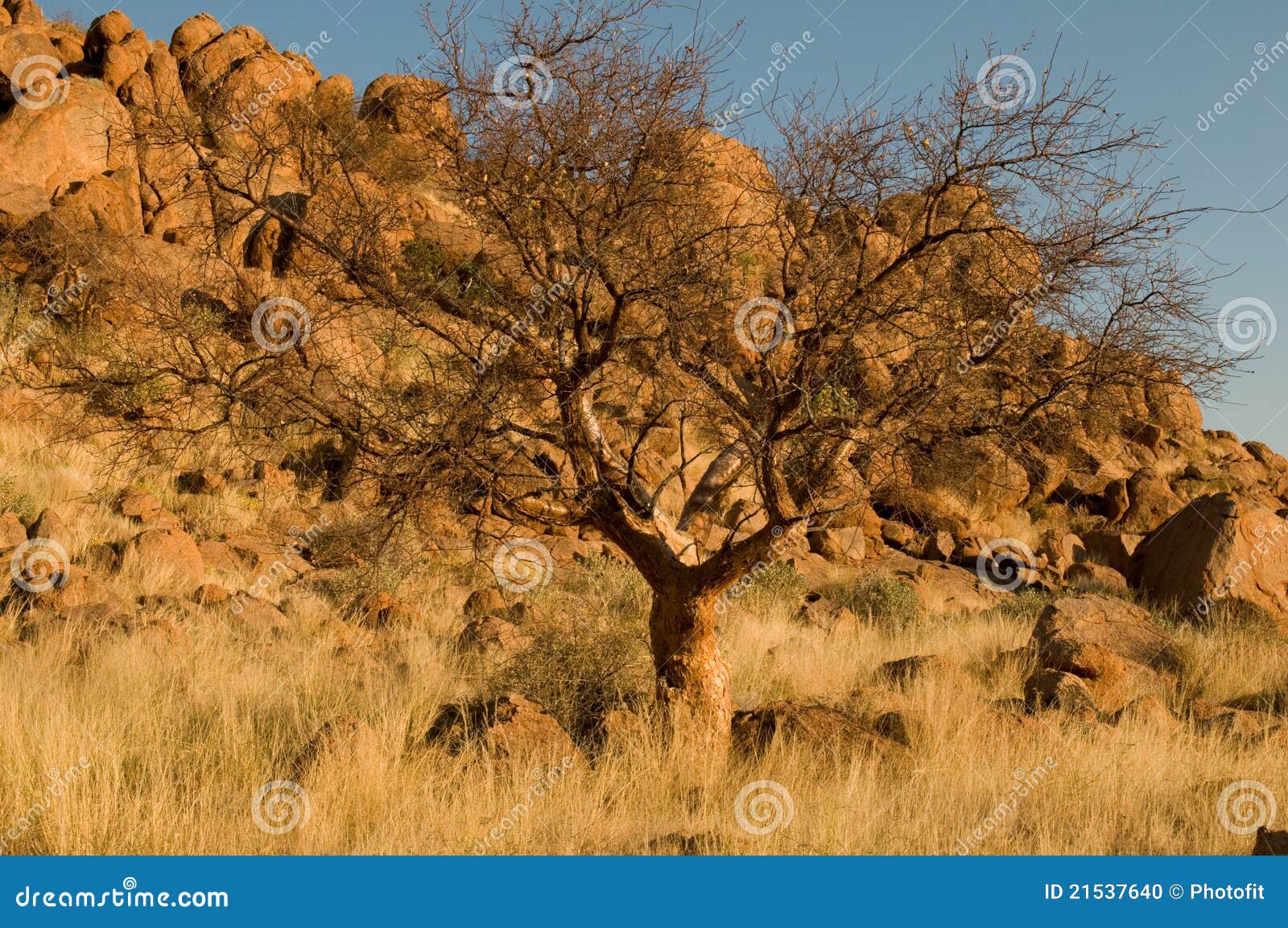 Namibian landscape stock photo. Image of wilderness, nature - 21537640