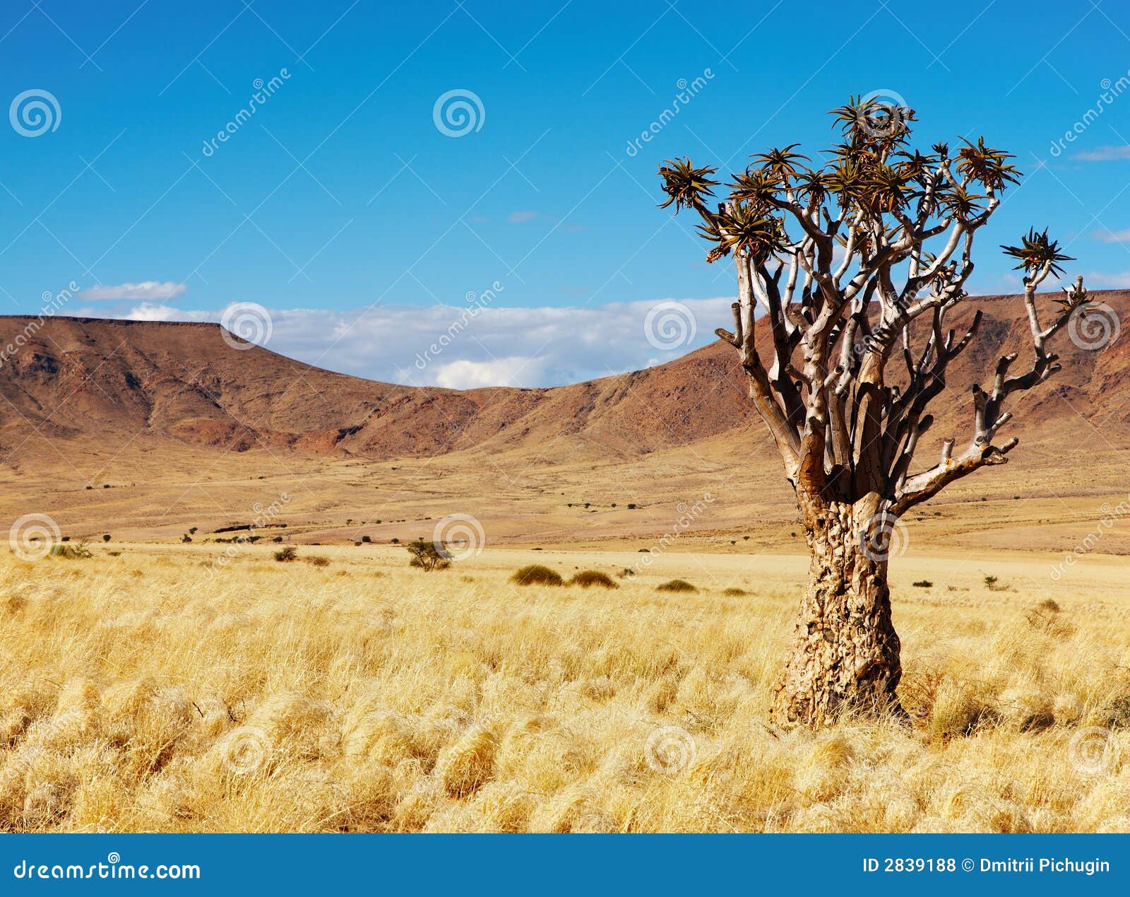 Namibian landscape stock photo. Image of landscape, sand - 2839188