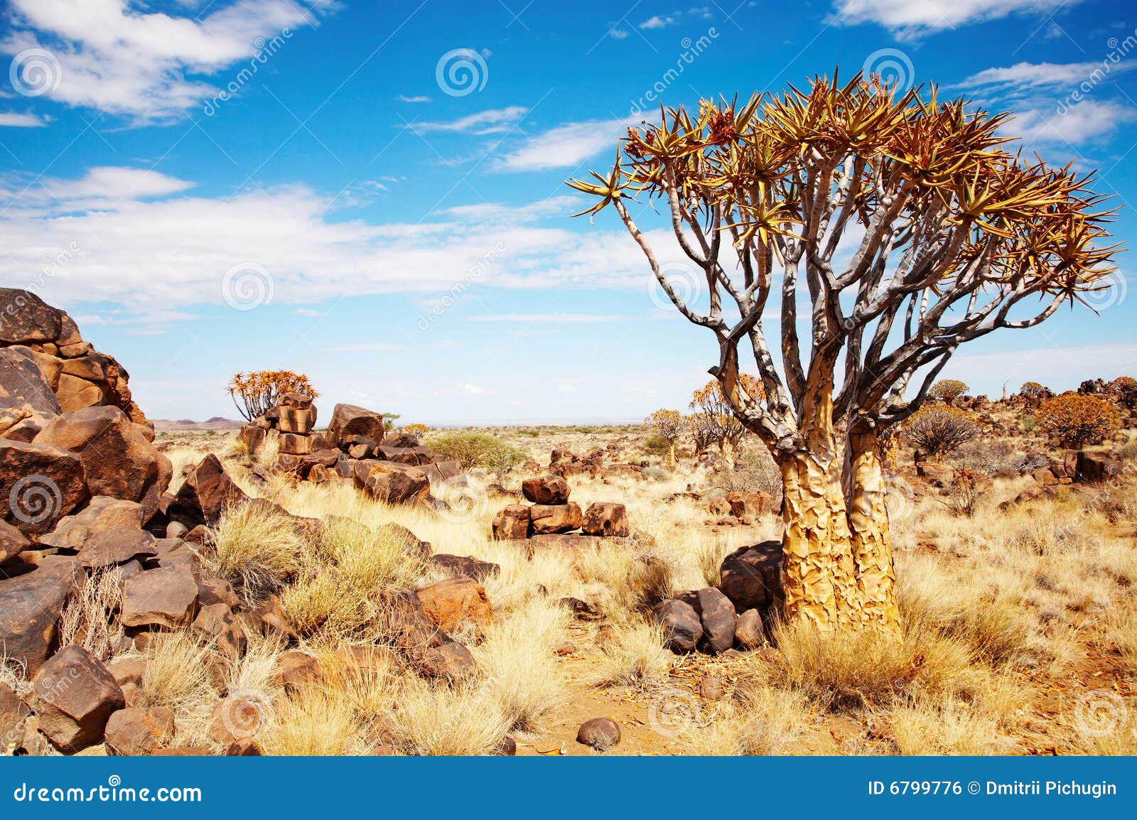 Namibian landscape stock photo. Image of arid, blue, extraordinary ...