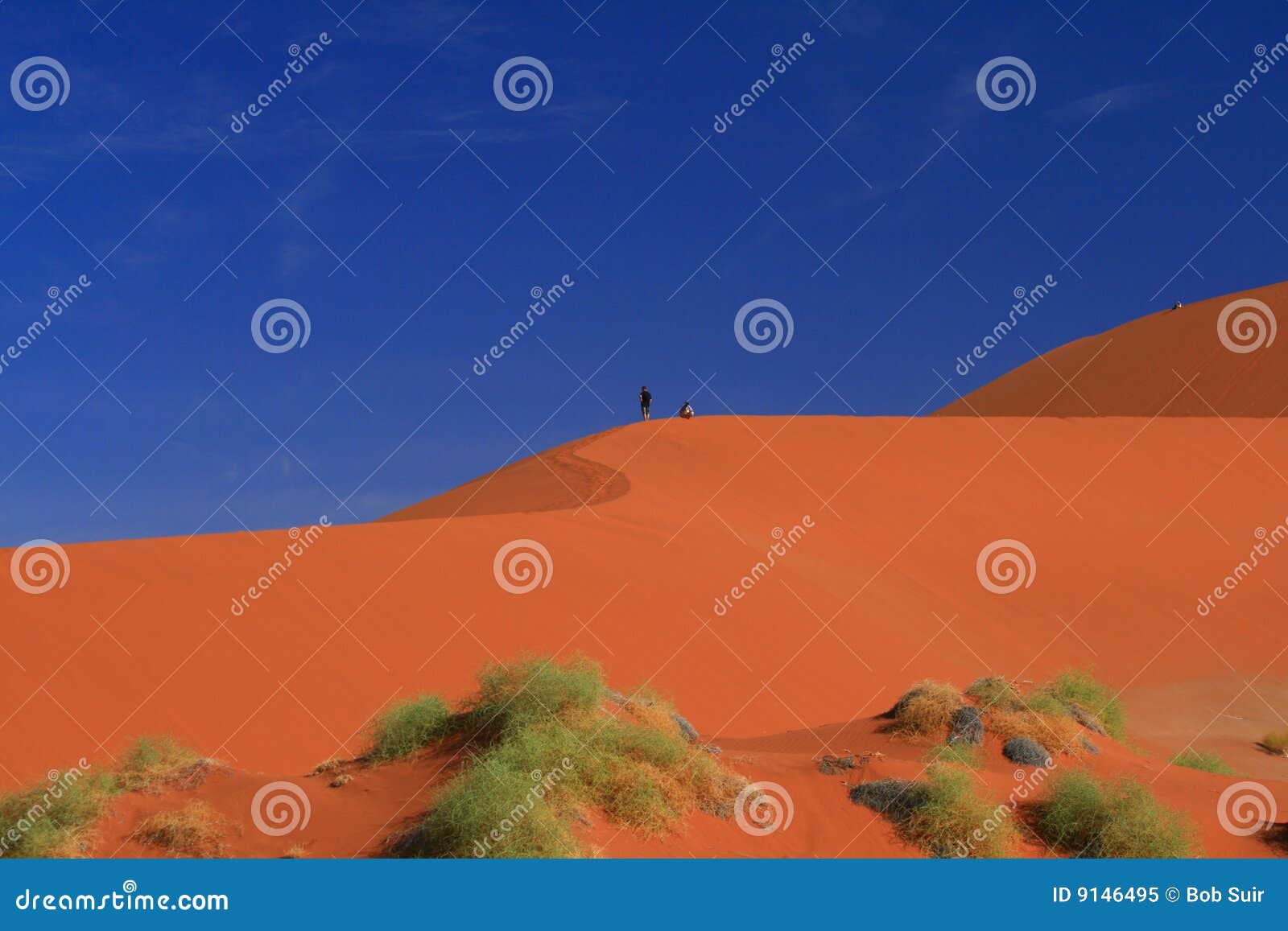 Sossusvlei Namib Naukluft National Park Safari Red Desert Dune Stock ...