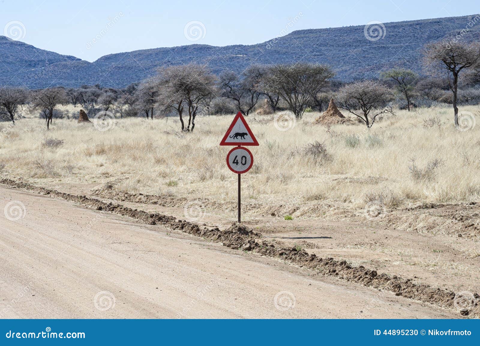 Namibian Road Sign Stock Photography | CartoonDealer.com #44895230