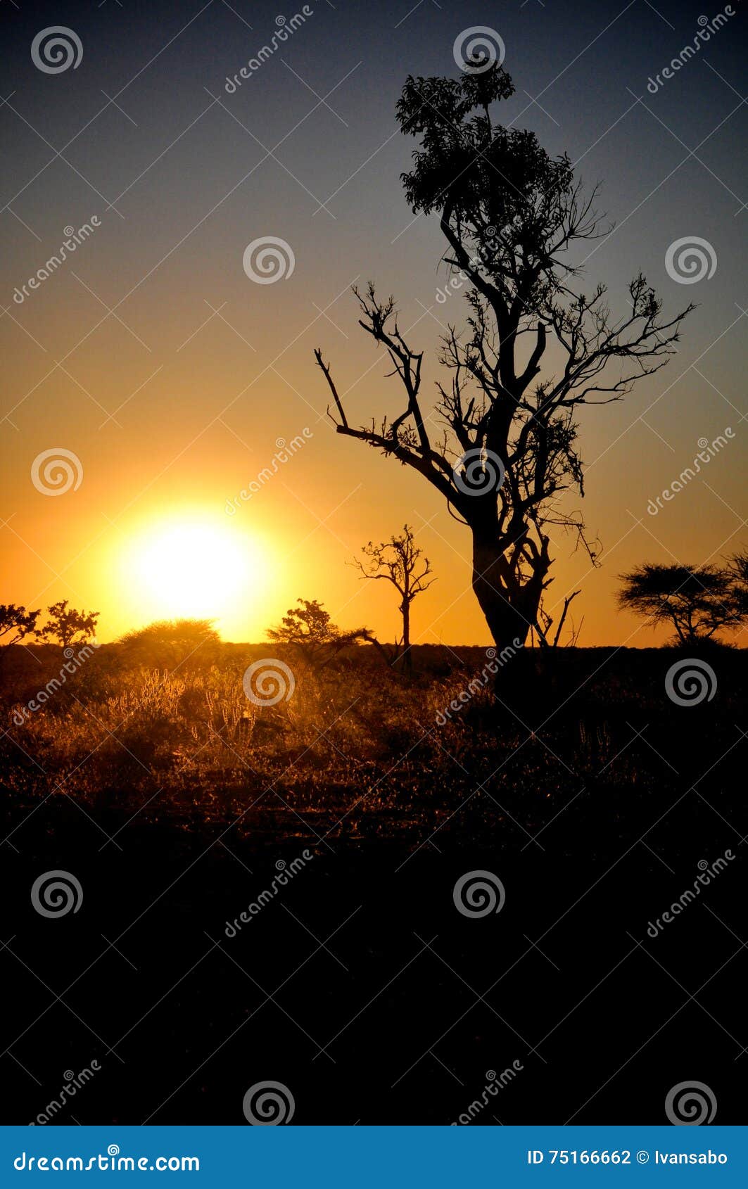 Namibian sunset stock photo. Image of colour, africa - 75166662