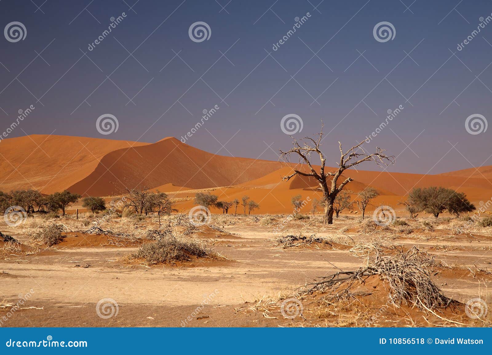 Namibian woestijn stock foto. Image of hemel, panorama - 10856518