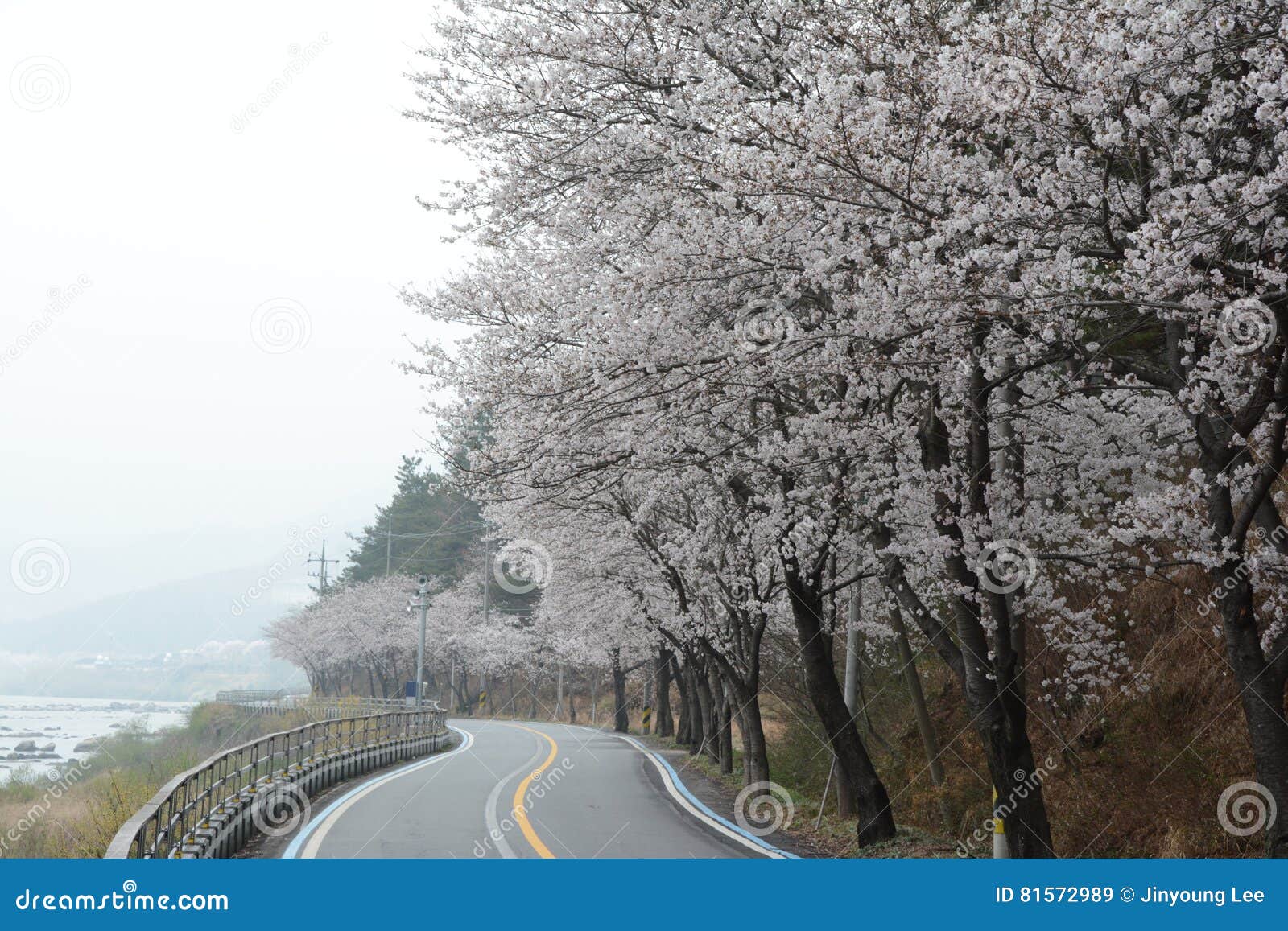 Namwon stock image. Image of korea, scenic, tree, cloud - 81572989