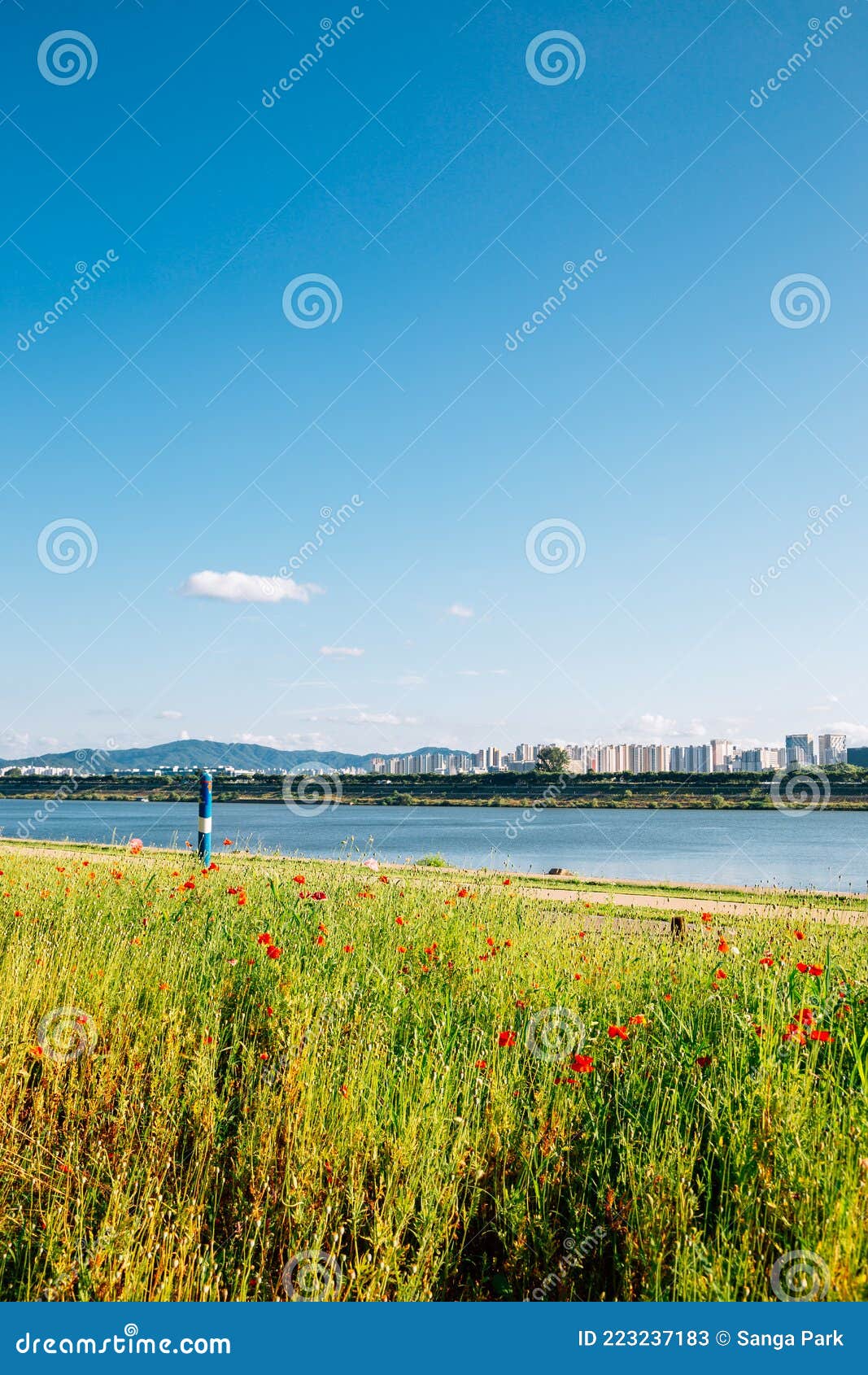 Namyangju Hangang River Park Sampae District at Spring in Korea Stock ...