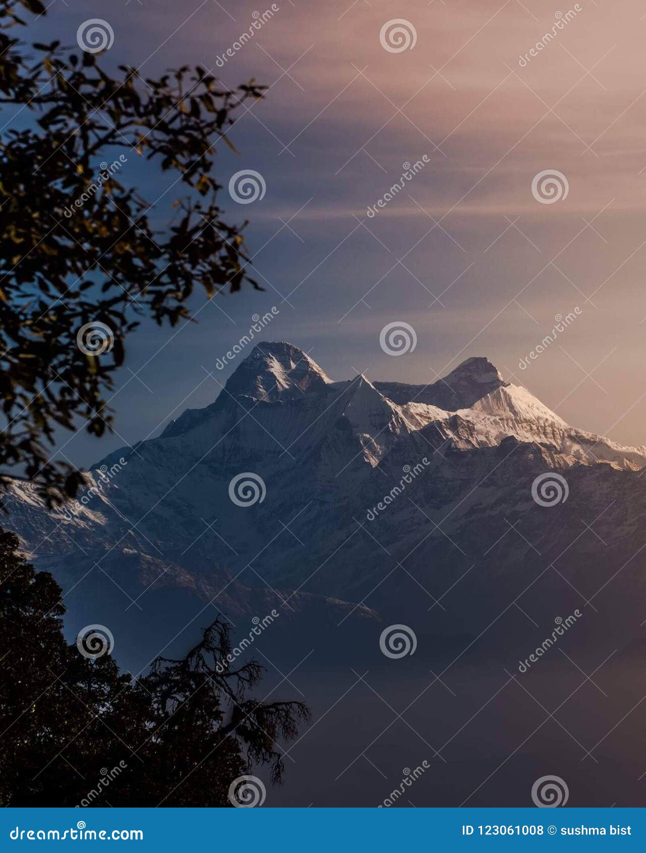 Nanda Devi Temple in Hill Location Binsar Stock Photo - Image of sheets ...