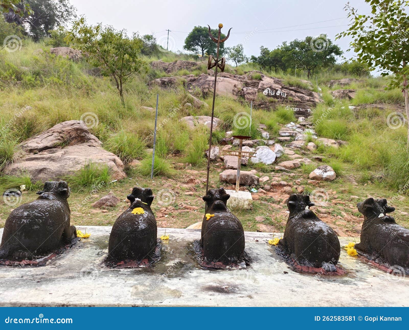 Nandhi statue stock image. Image of sivan, temple, statue - 262583581